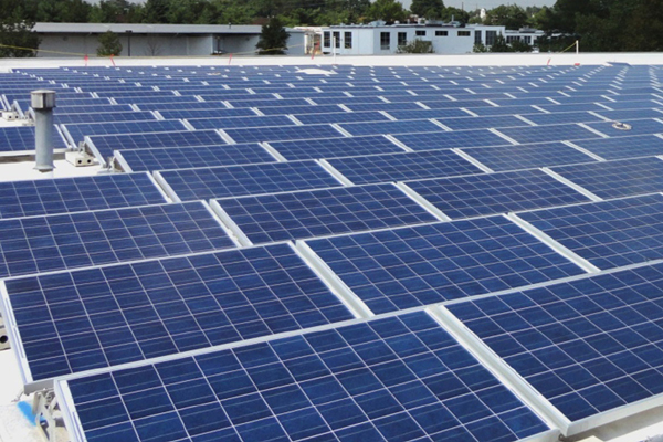 Ewec gearing up for Q1 clean energy certificate auction