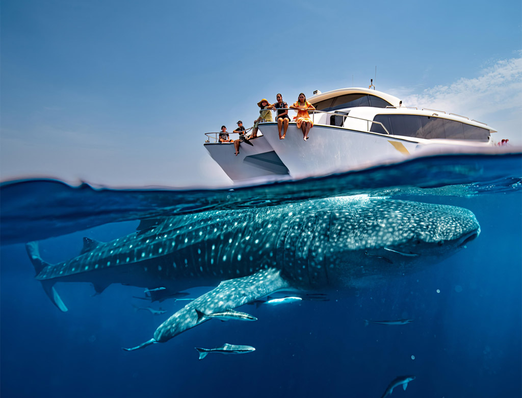 Discover Qatar, the destination management company of Qatar Airways, has announced that the ...